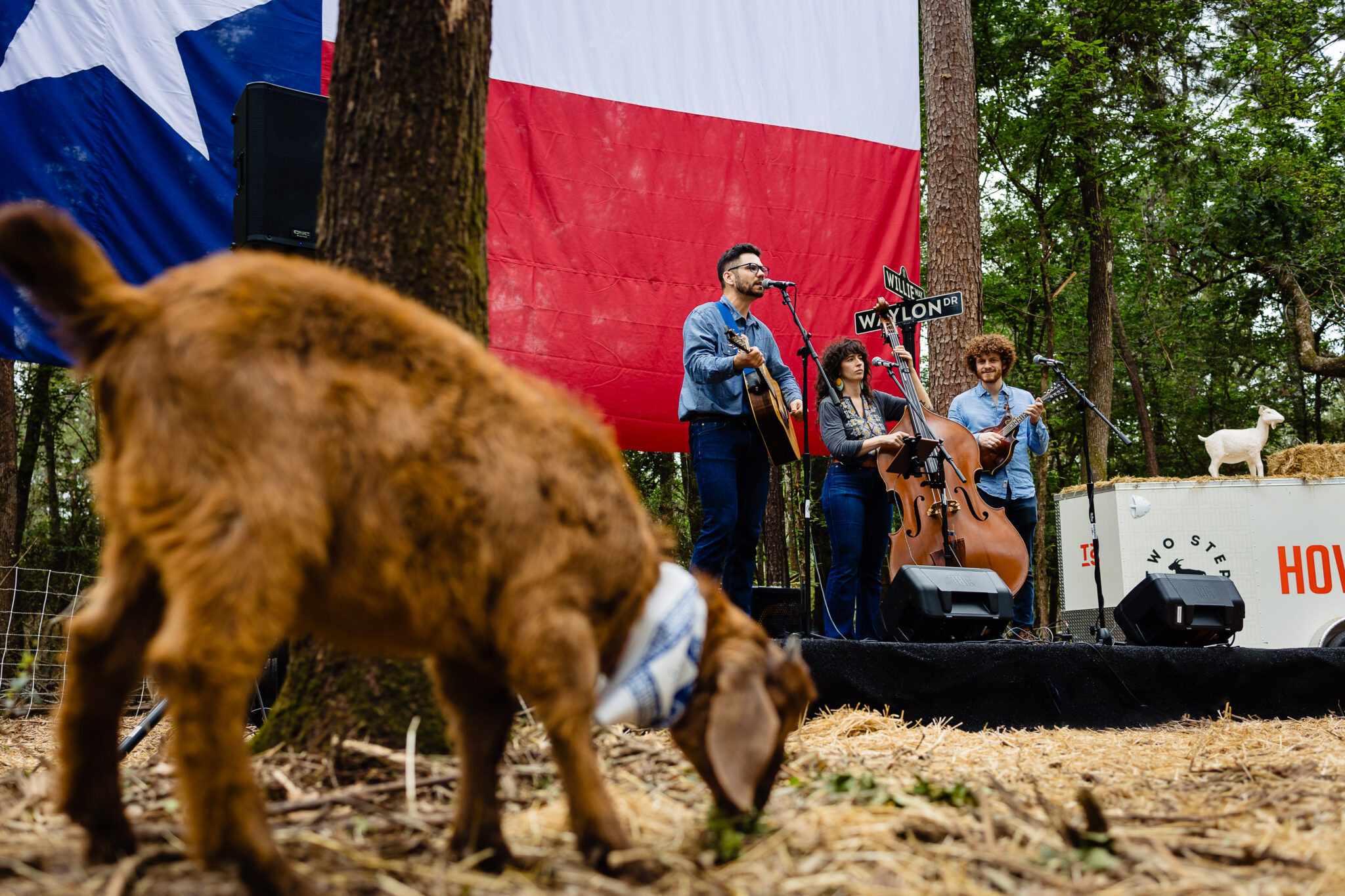 Say 'Hi' to the Herd: Introducing the Two Step Farm Goats - Two Step Farm